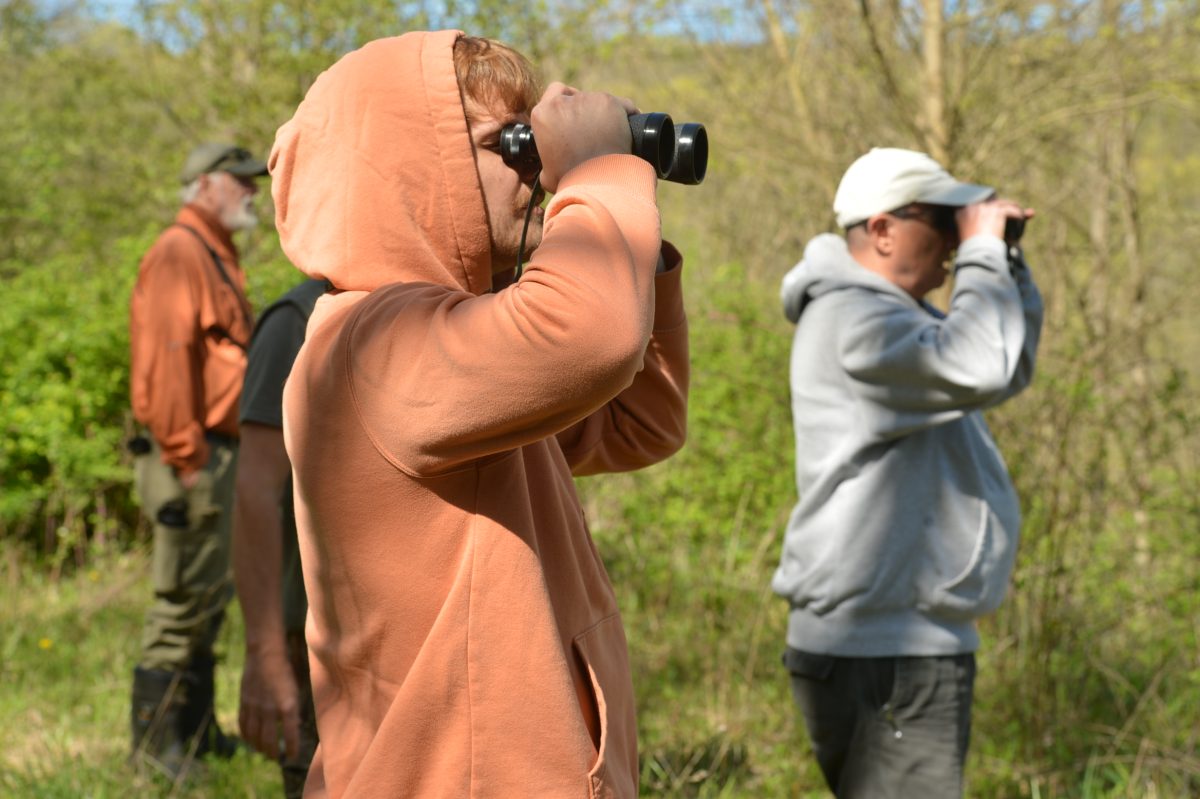 Local news - Observer-Reporter